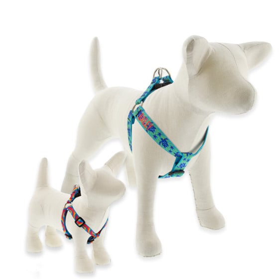 Step In Dog Harness | LupinePet. Easy wrap around style