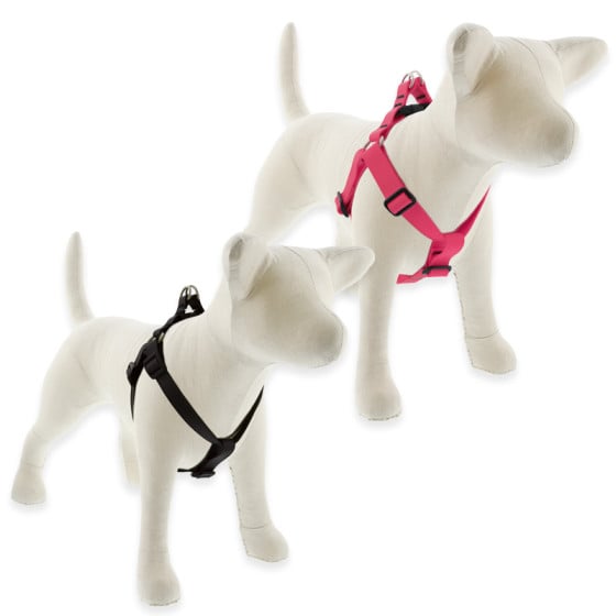 Step In Dog Harness | LupinePet. Easy wrap around style